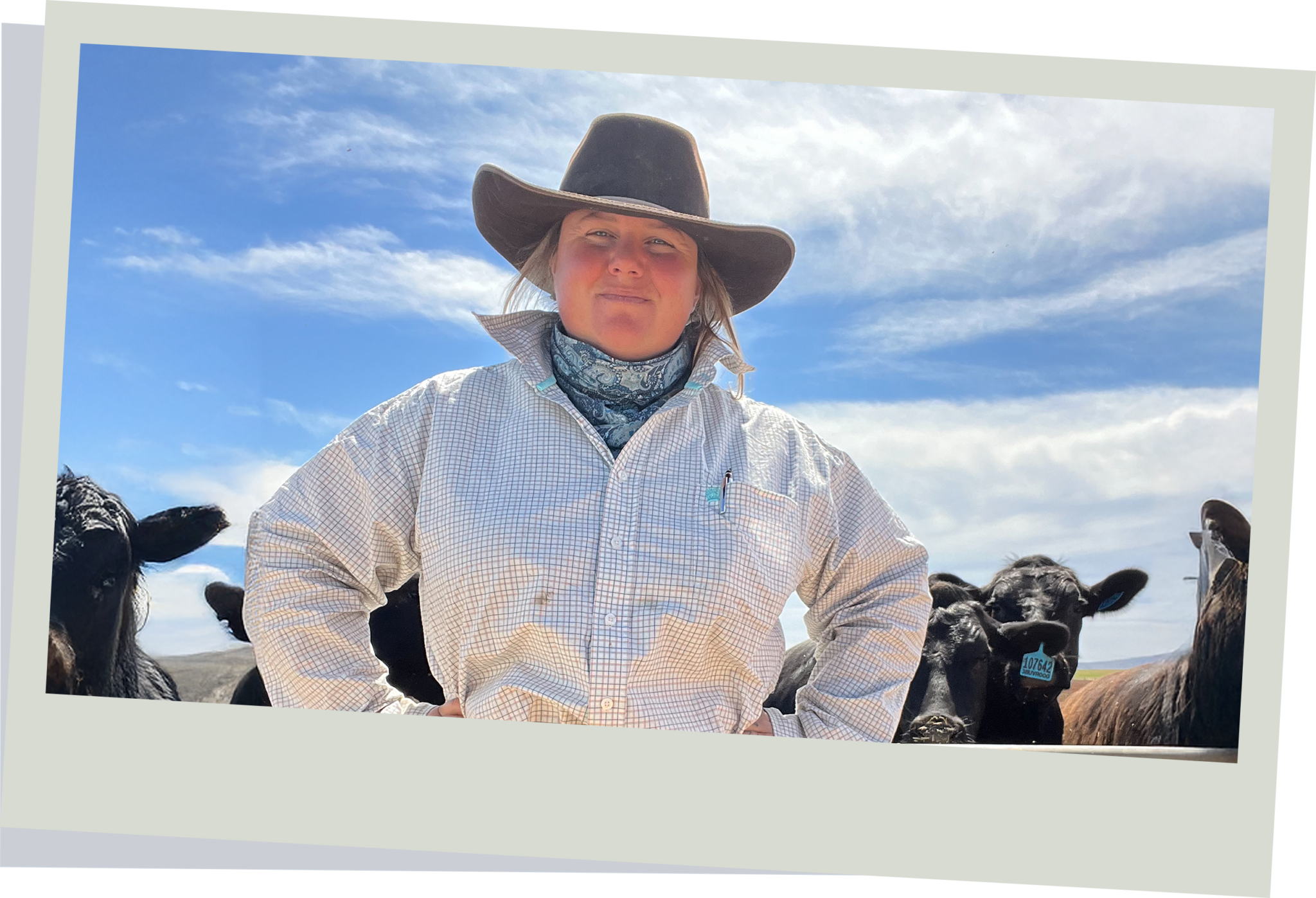 Charlton Feedlot R&D Trial - Teys Australia