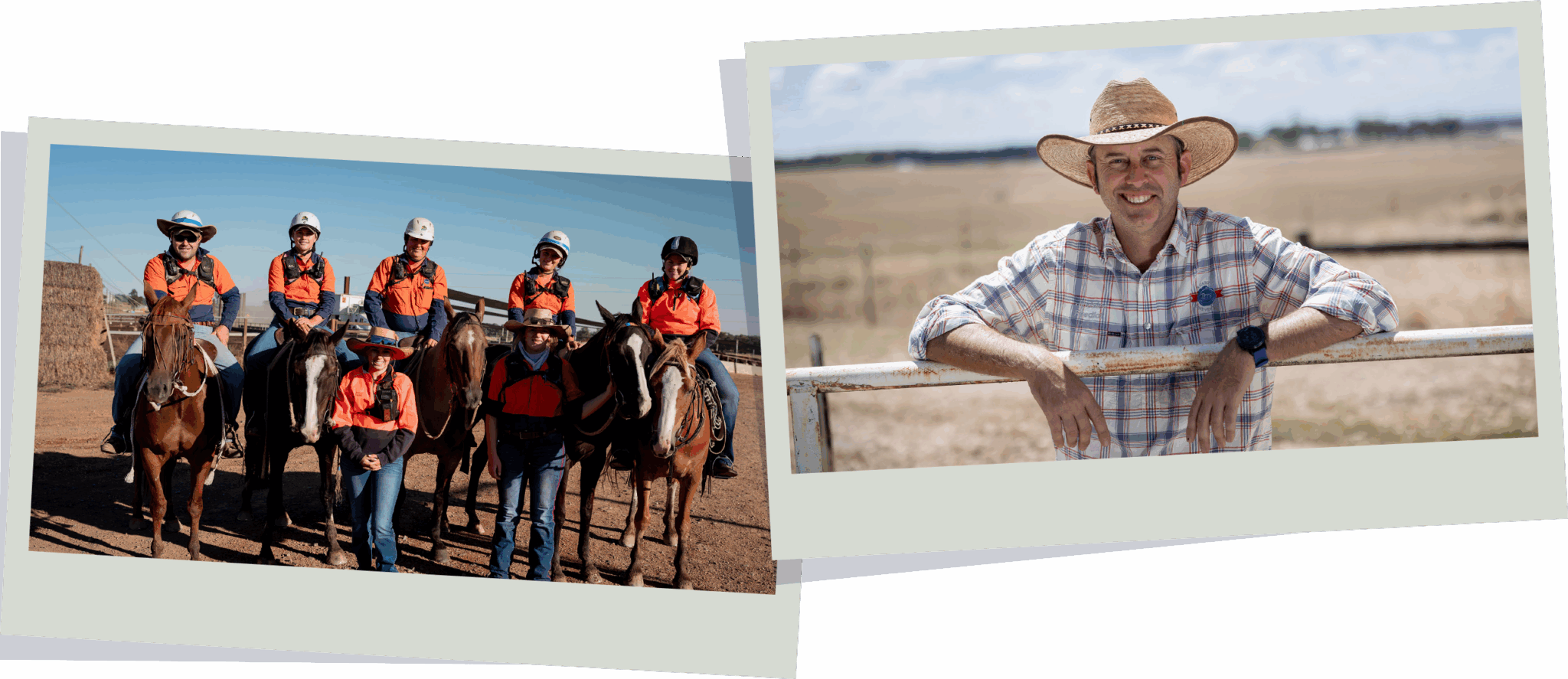 Jindalee Feedlot Upgrade - A Commitment to Excellence - Teys Australia